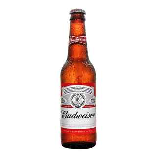 Cerveza Budweiser en Botella 355cc