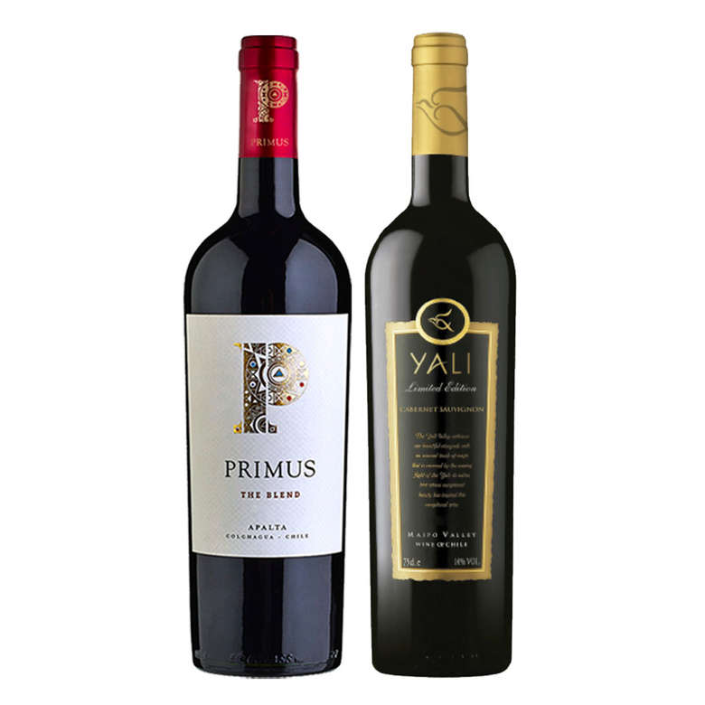 Booz.cl: DUO PREMIUM Nº4: 1x Vino Veramonte Primus The Blend 750cc + 1x ...