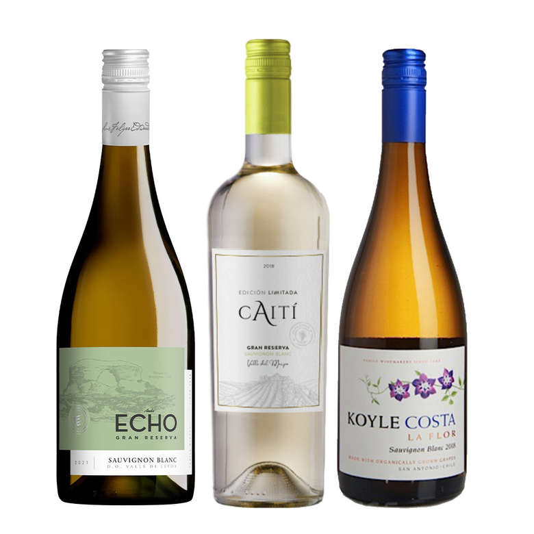 Booz.cl: TRIO PERFECTO SAUVIGNON BLANC Nº1: 1x Vino Echo Gran Reserva Sauvignon B...