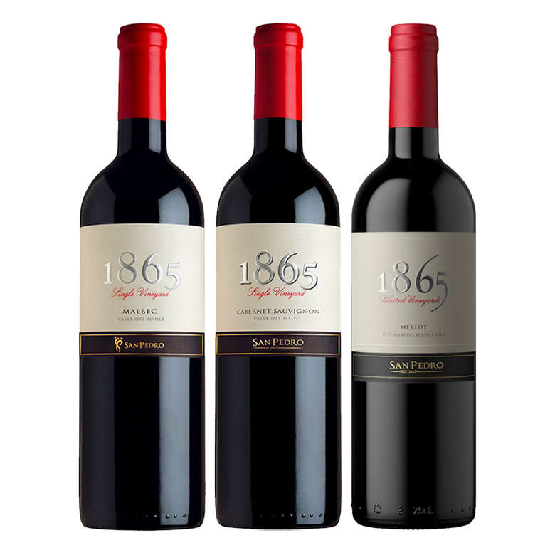 Booz.cl: PACK 1865: 1x Vino 1865 Single Vineyard Malbec 750cc + 1x Vino ...