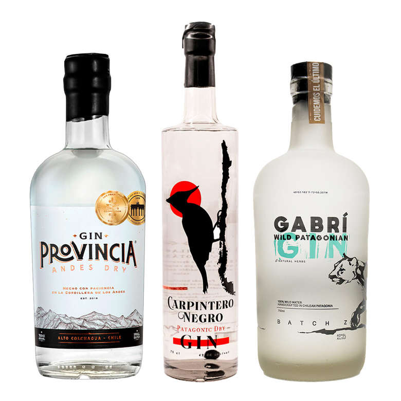 Booz.cl: PACK GIN CHILENO N°2: 1x Gin Provincia Andes Dry 700cc + 1x Gin Gabrí Wi...