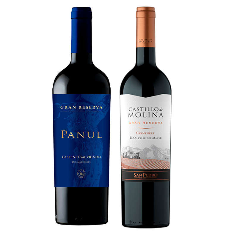 Booz.cl: PACK DUO GR: Vino Panul Gran reserva Cabernet Sauvignon 750cc ...