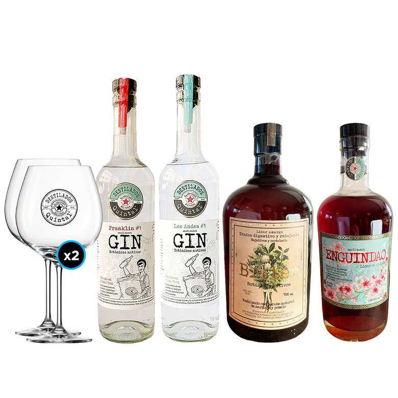 Booz.cl: PACK QUINTAL N°4: 4x Variedades Destilados Quintal + 2 Copas ...