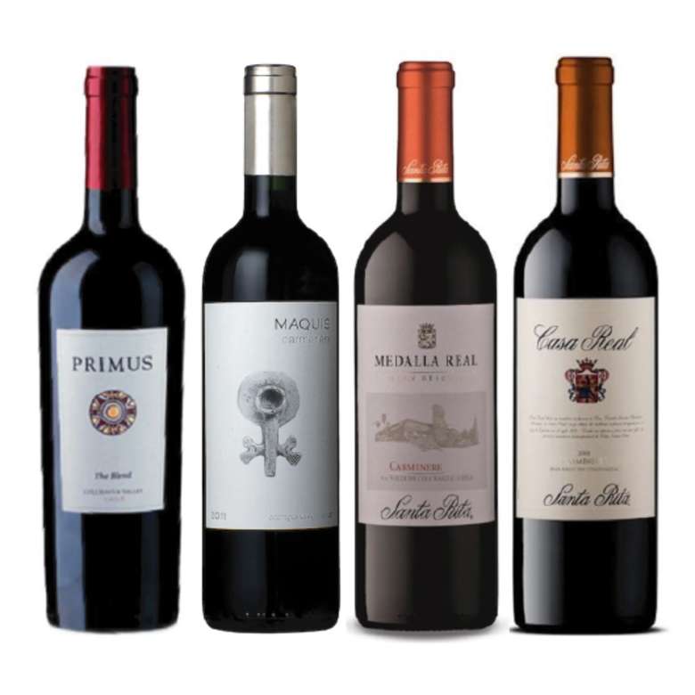 Booz.cl: PACK VINOS GR BLACK (Carmenere): Vino Veramonte Primus The ...