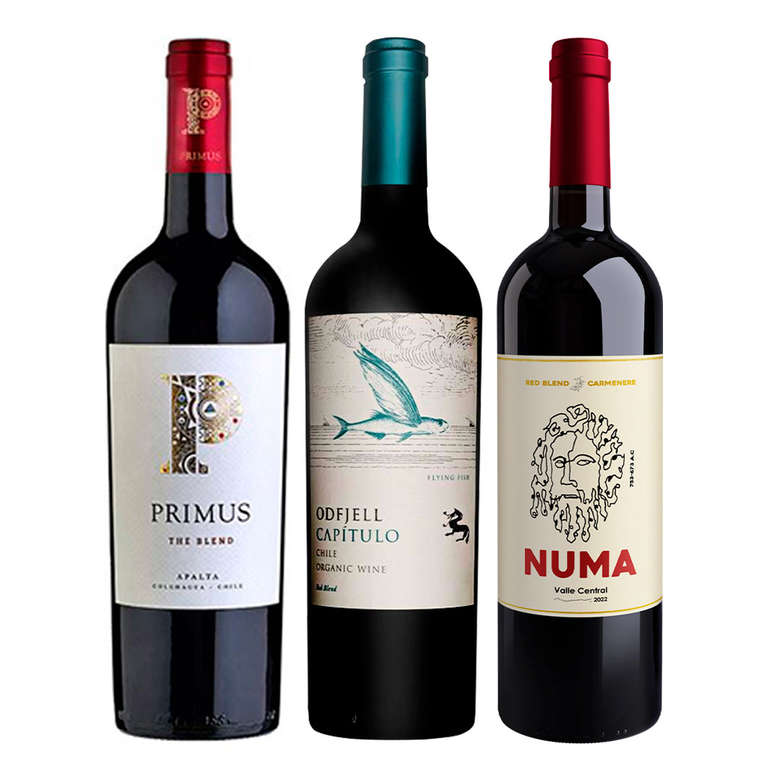 Booz.cl: PACK NUMA - FLYING FISH - PRIMUS (Blend): 1x Vino Numa Gran ...