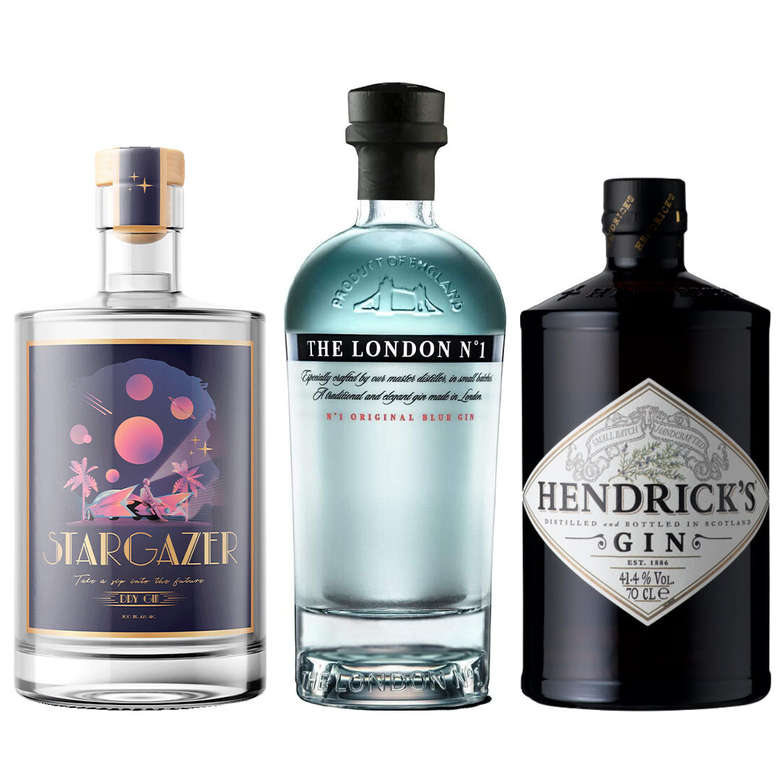 Booz.cl: PACK GIN PREMIUM: 1x Stargazer Gin 700cc 42° alc. + 1x Gin ...